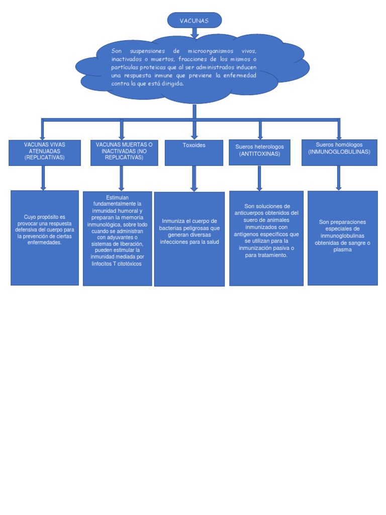 Mapa Conceptual Pai | PDF