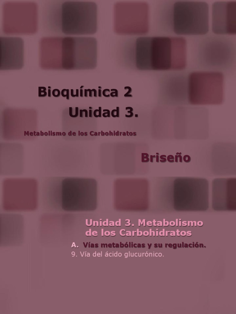 05.e Via Del Acido Glucuronico | PDF | Metabolismo | Nicotinamida ... 05.e Via Del Acido Glucuronico | PDF | Metabolismo | Nicotinamida ...
