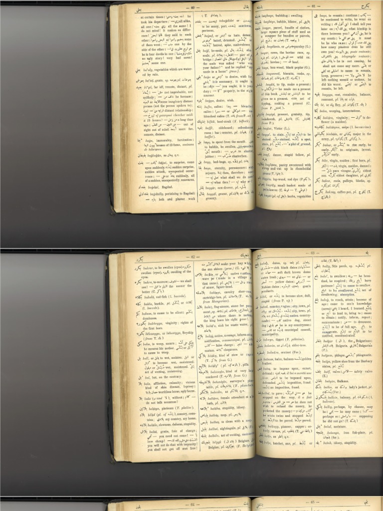 ARABIC - ENGLISH DICTIONARY OF THE MODERN ARABIC OF EGYPT Part 2 | PDF