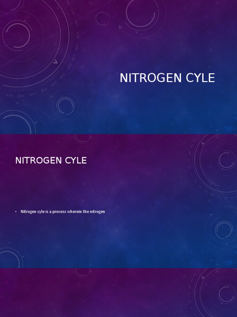 Nitrogen Cyle | PDF