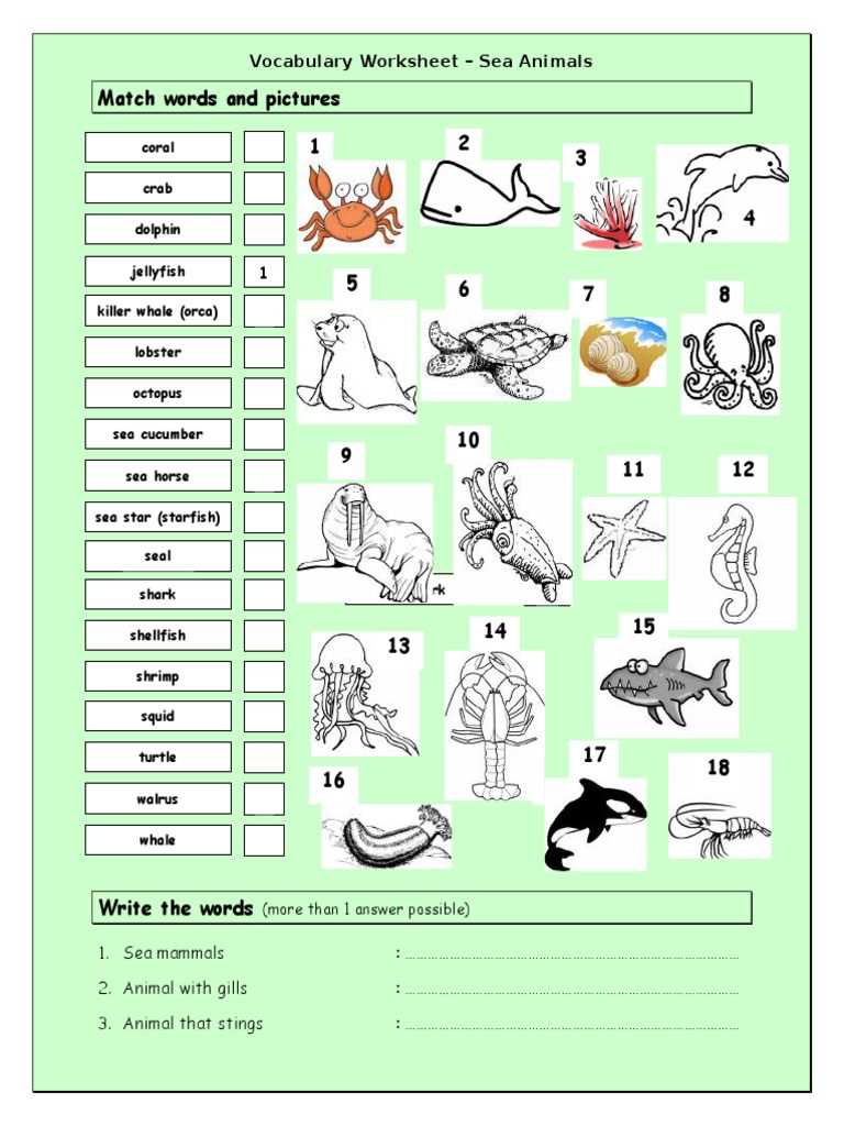 Vocabulary Matching Worksheet Sea Animals Fun Activities Games - 3773 | PDF