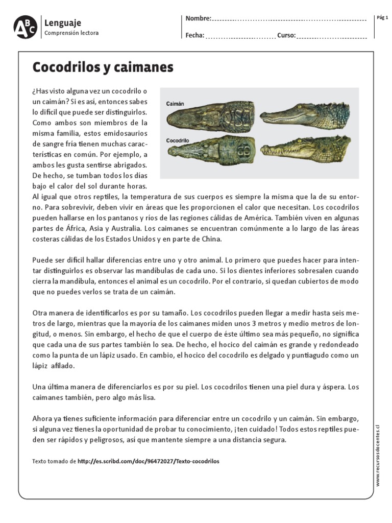 Características de cocodrilos y caimanes | PDF | Organismos | Naturaleza