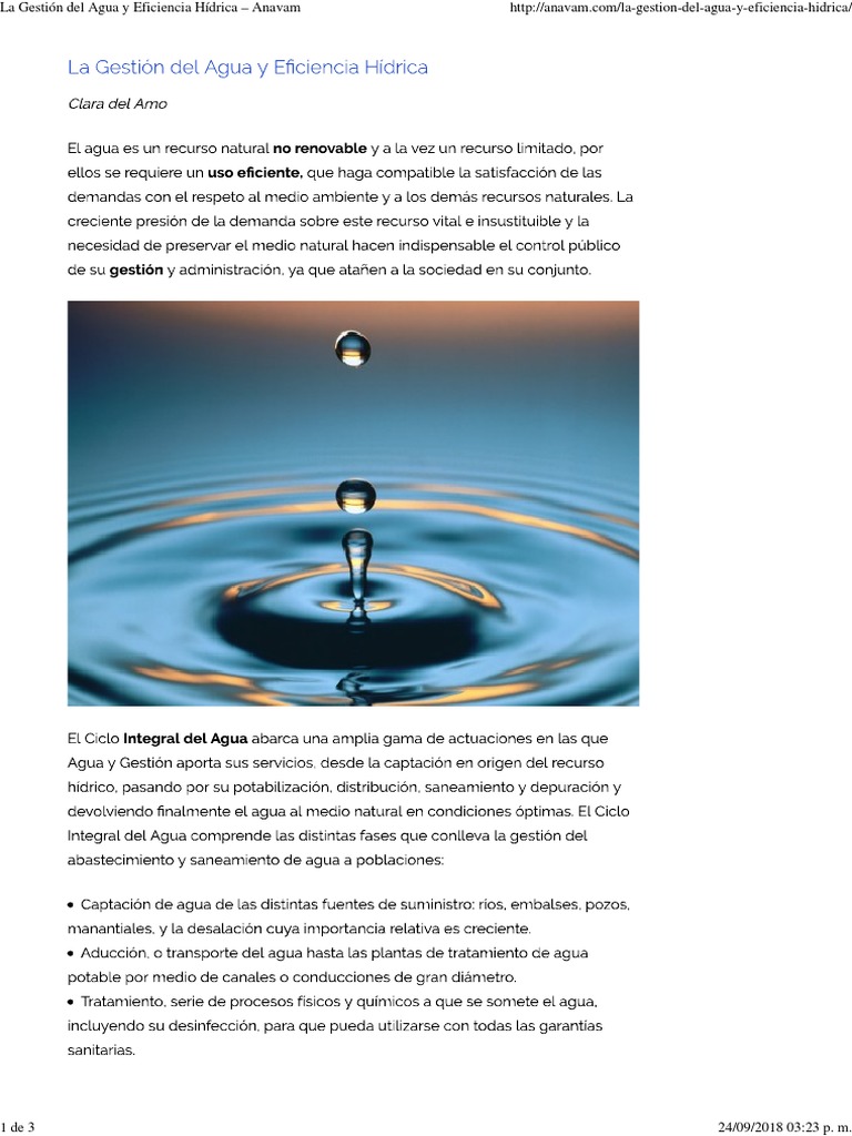 La Gestión Del Agua y Eficiencia Hídrica - Anavam | PDF | Tecnología