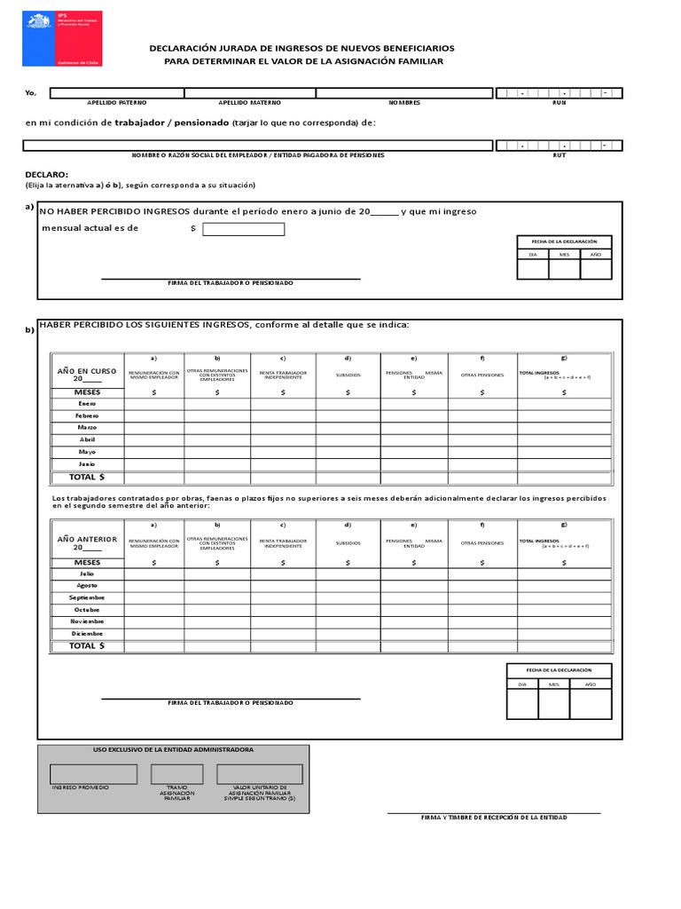Formulario Carga Ips | PDF