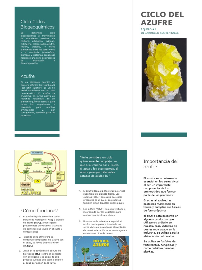Triptico Ciclo Del Azufre | PDF | Azufre | Suelo