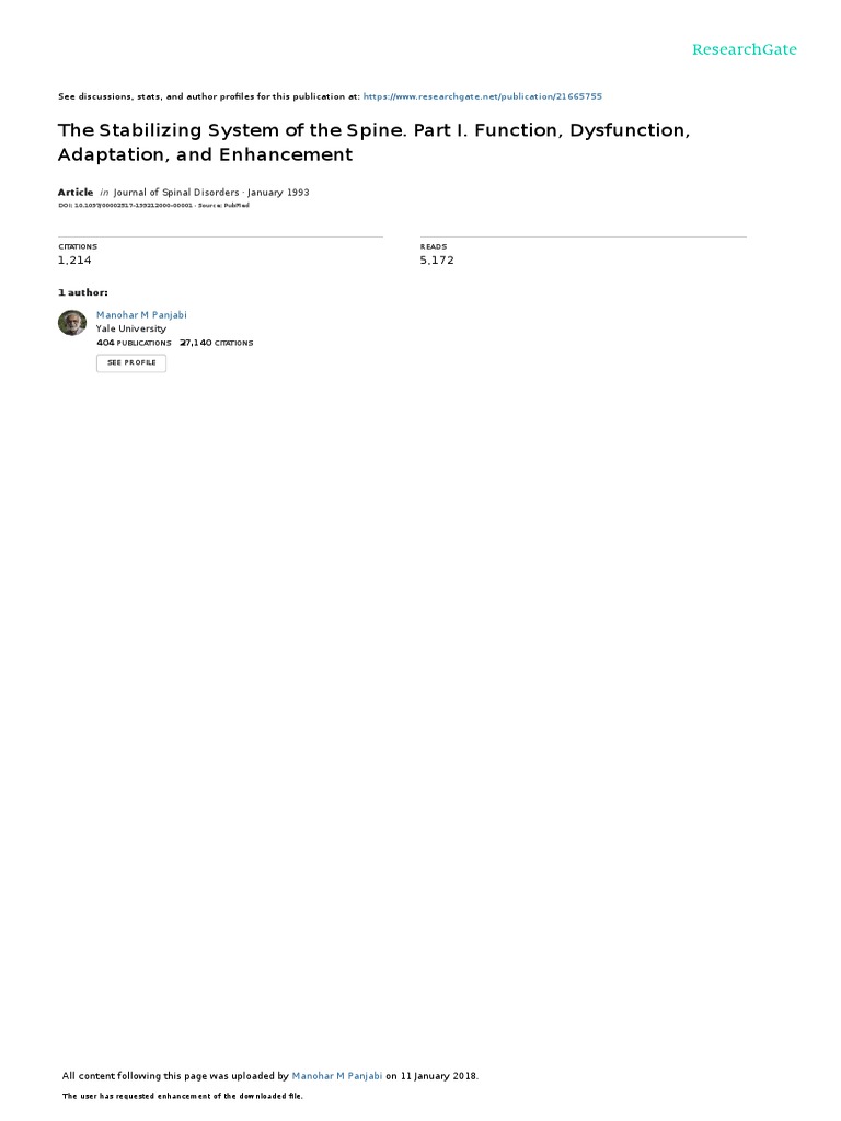 Spine Stability: Function & Dysfunction | PDF