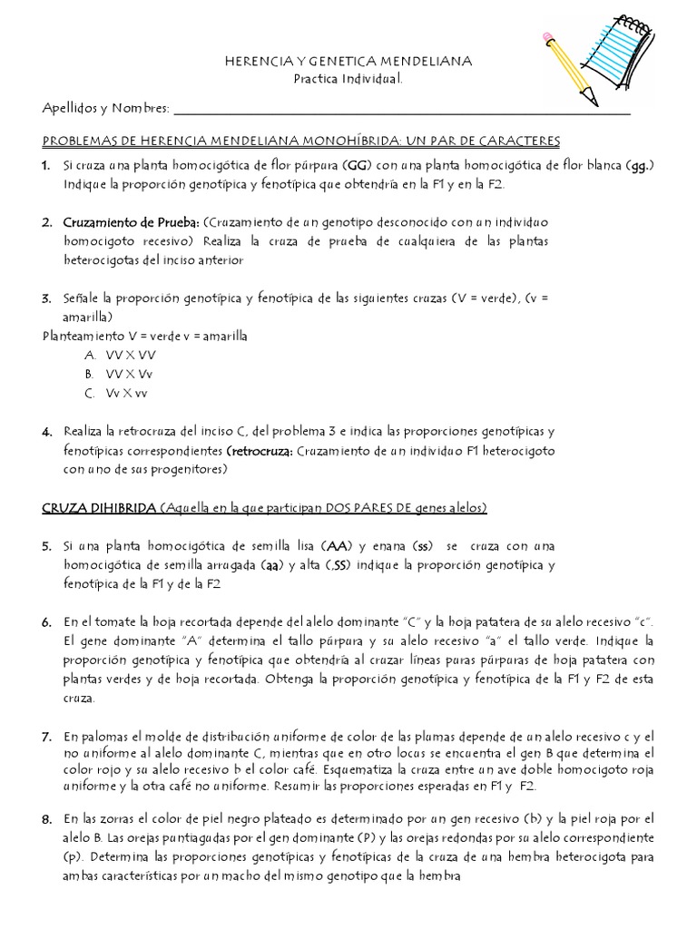 Ejercicios de Genética Mendeliana | PDF | Dominancia (Genética) | Alelo
