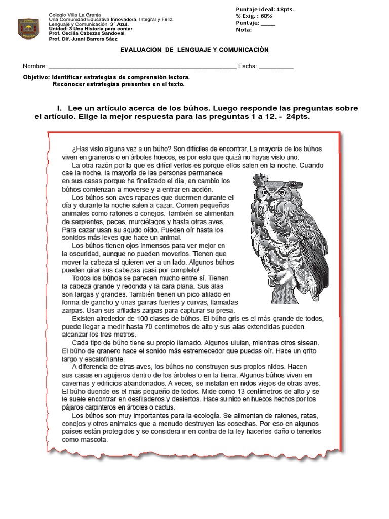 Evaluación Tercer Año Estrategias Comprension | PDF | Búho | Aves