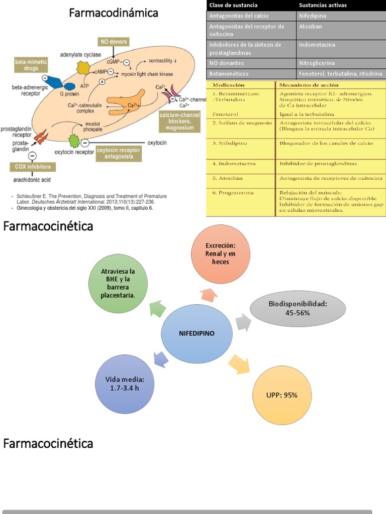 Tocoliticos Farmacodinámica Farmacocinetica | PDF | Farmacocinética ...