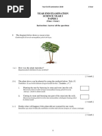Year 6 Science Sample Exam Paper | PDF | Foods | Nature