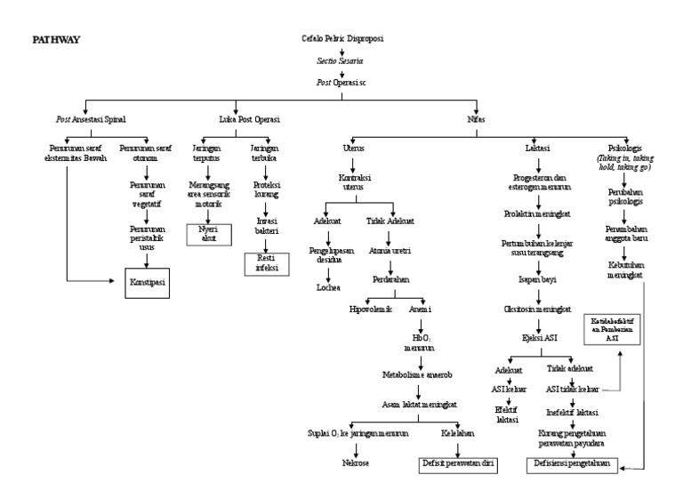 Pathway Post Operasi SC | PDF