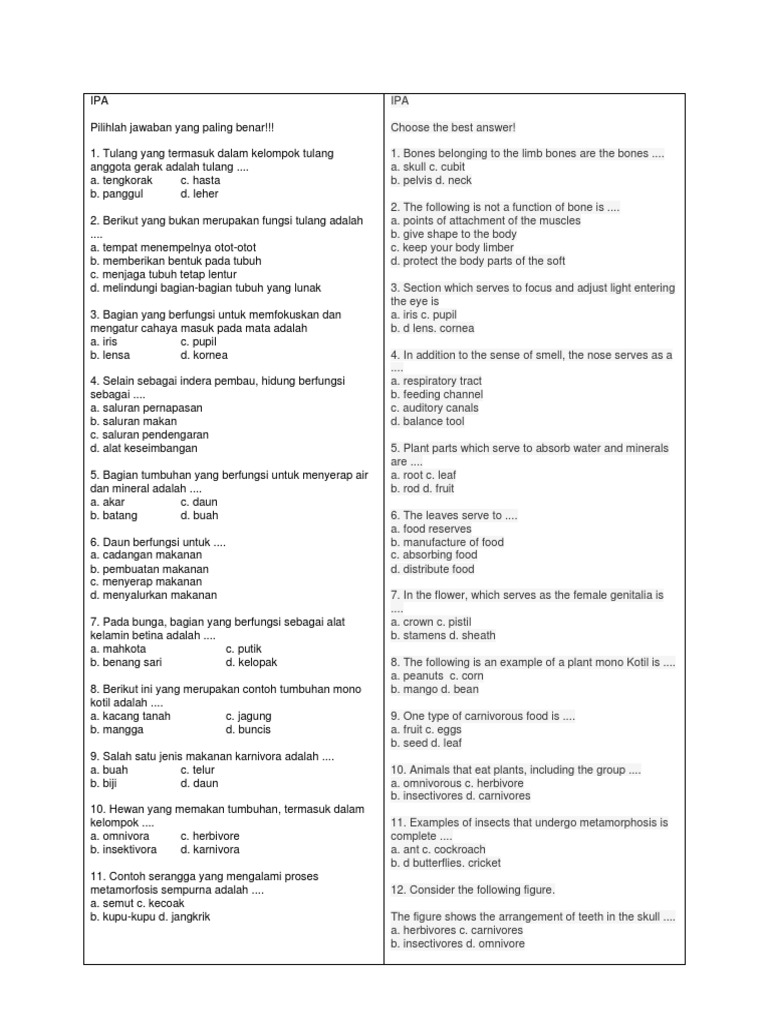 Soal Science Kelas 4 SD Bilingual | PDF