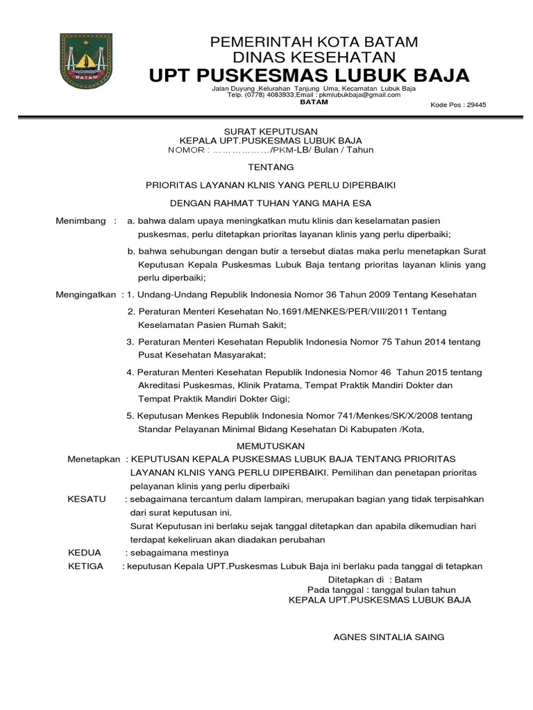 Prioritas Layanan Puskesmas Lubuk Baja | PDF