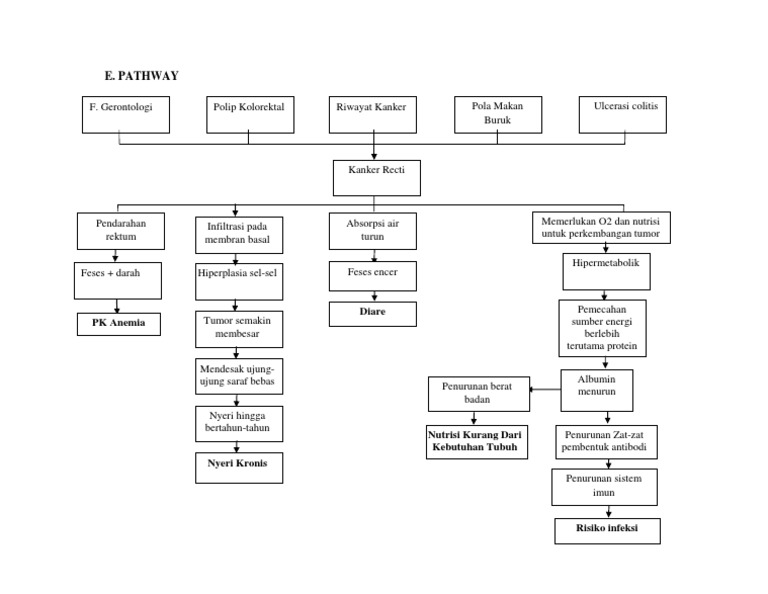Pathway Kanker Rektum dan Gejalanya | PDF