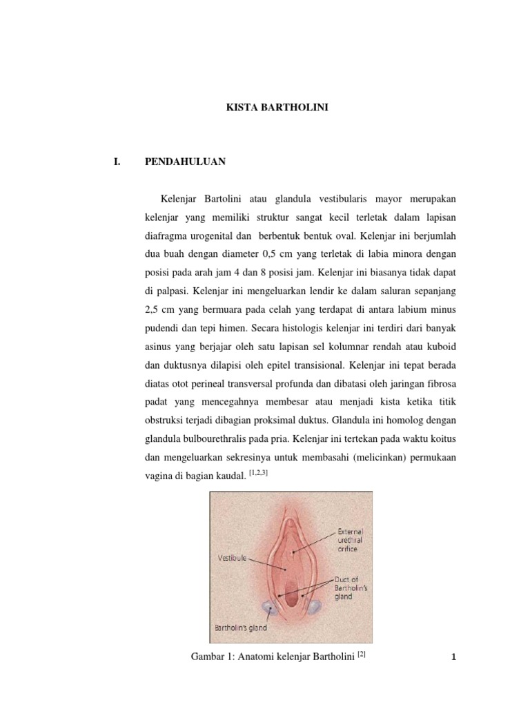Kista Bartholini Dan Kista Gartner | PDF | Sains & Matematika