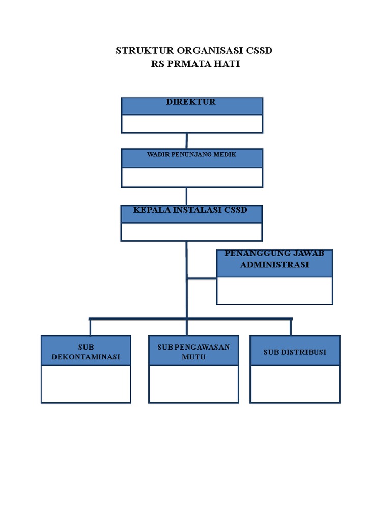 Struktur Organisasi CSSD | PDF