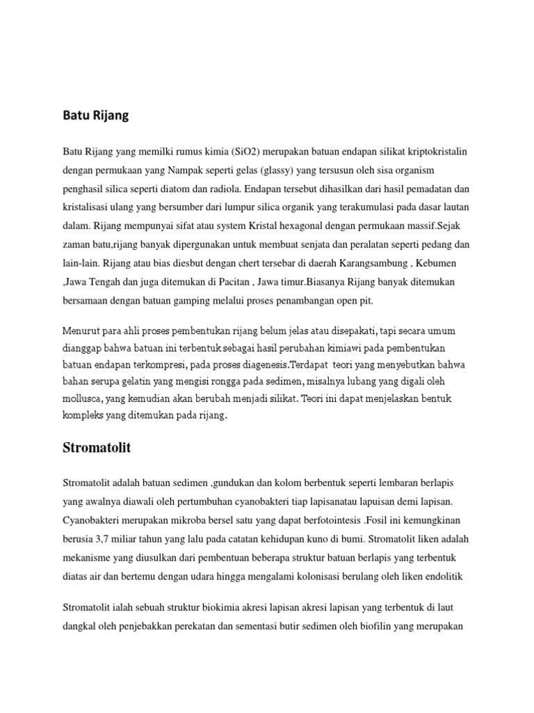 Batu Rijang dan Stromatolit: Pembentukan dan Sejarah Geologis | PDF