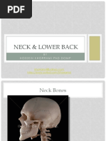 Astri - Neck Cailliet Exercise | PDF | Vertebral Column | Vertebra