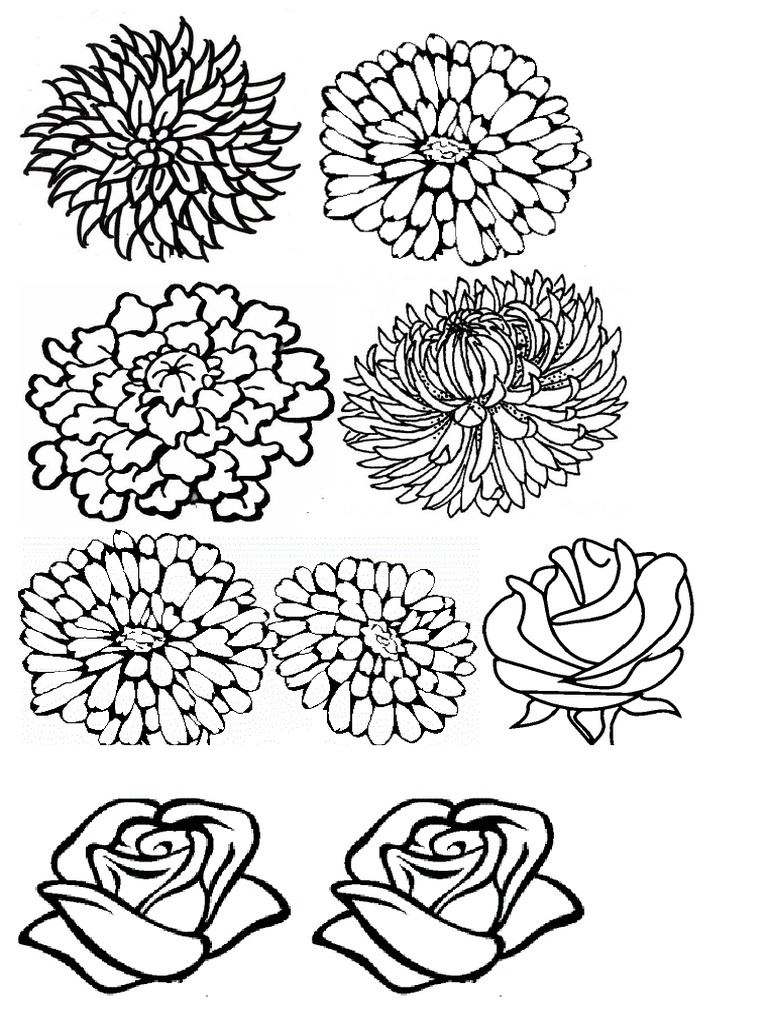 Flori de Toamna de Colorat | PDF