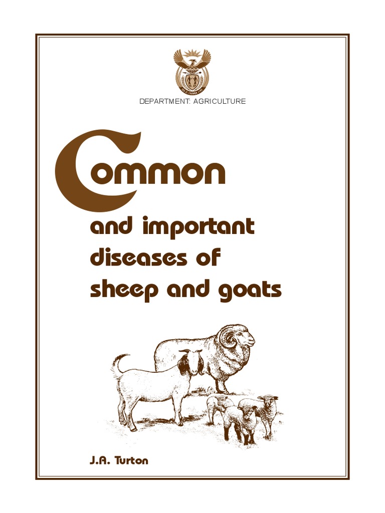 Common Diseases in Goats and Sheep | PDF | Sheep | Medicine