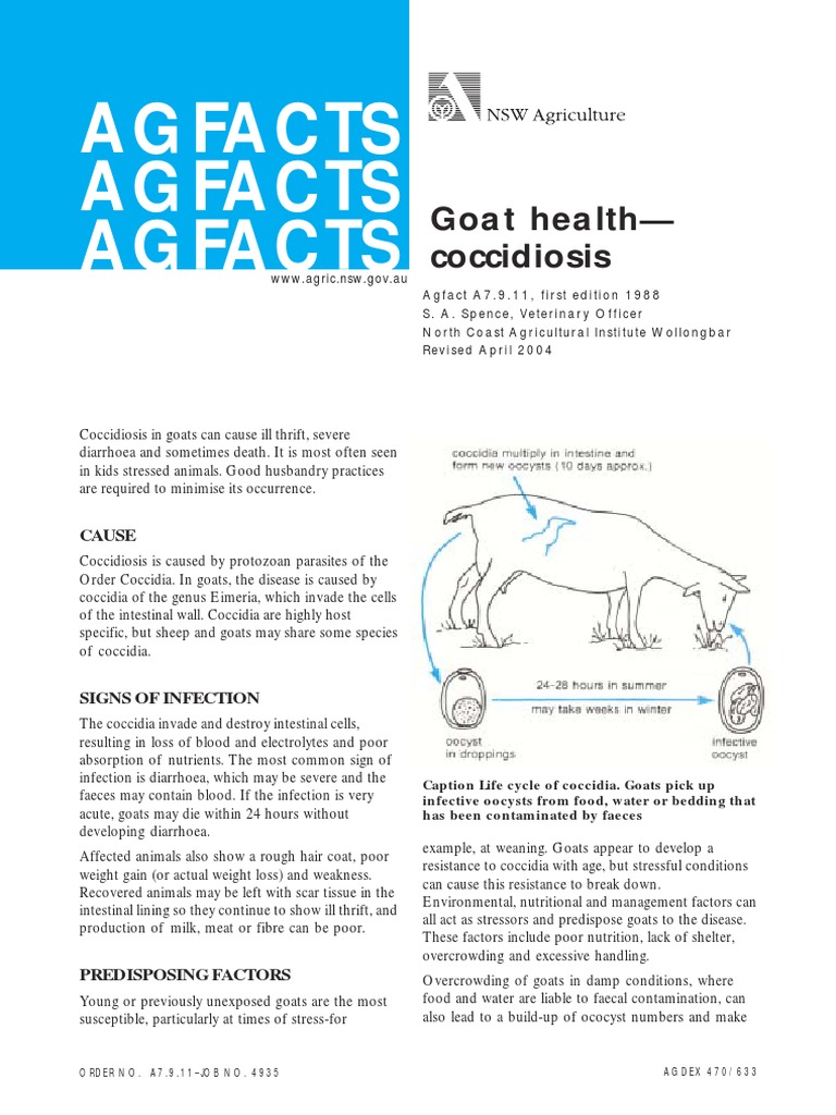 Goat Coccidiosis Pdf Goat Medical Specialties