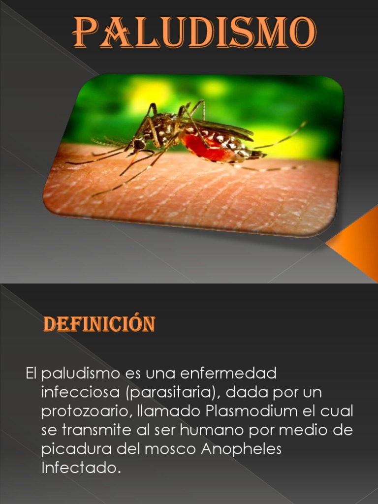 PALUDISMO | PDF | Malaria | Plasmodium
