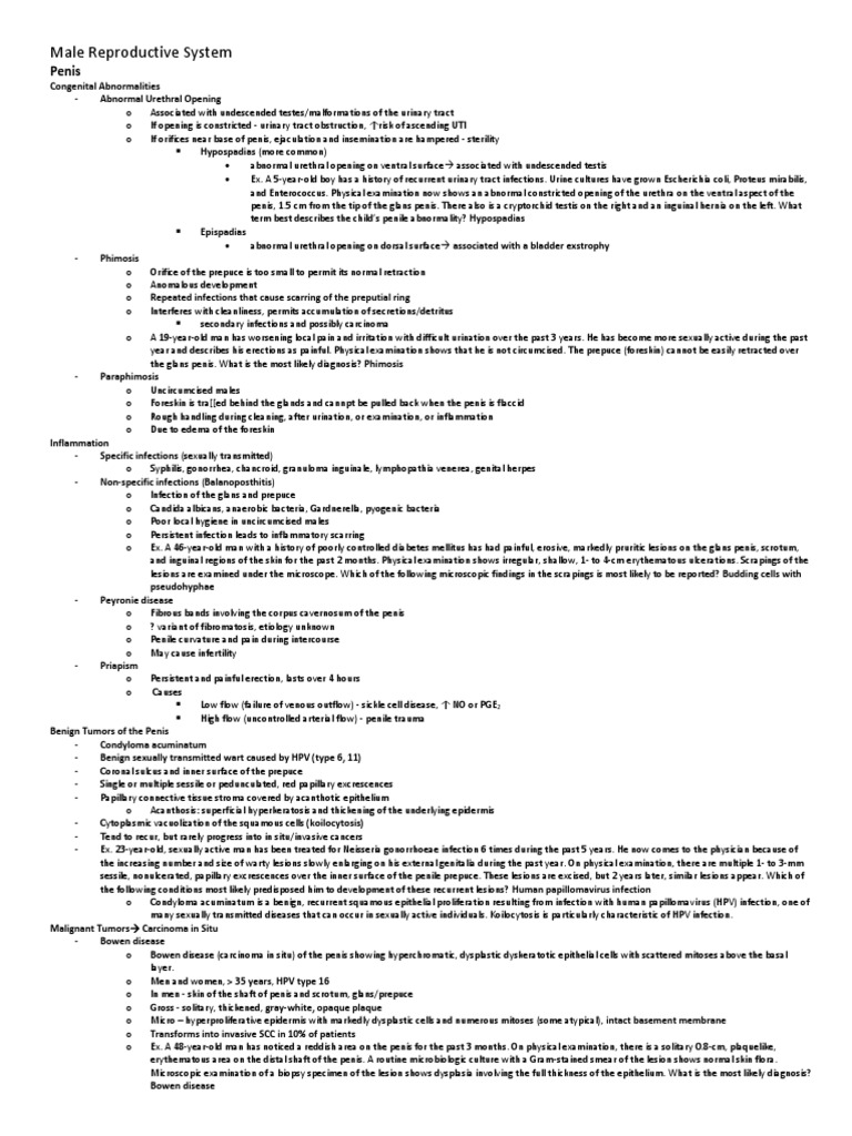 Male Reproductive System Abnormalities | PDF | Prostate Specific ...