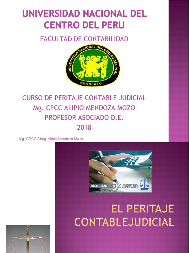 Peritaje Contable | PDF | Evidencia (ley) | Testigo experto