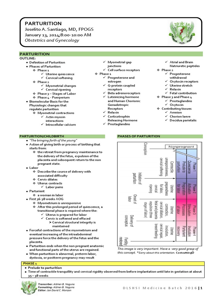 Understanding Parturition Phases | PDF | Childbirth | Collagen