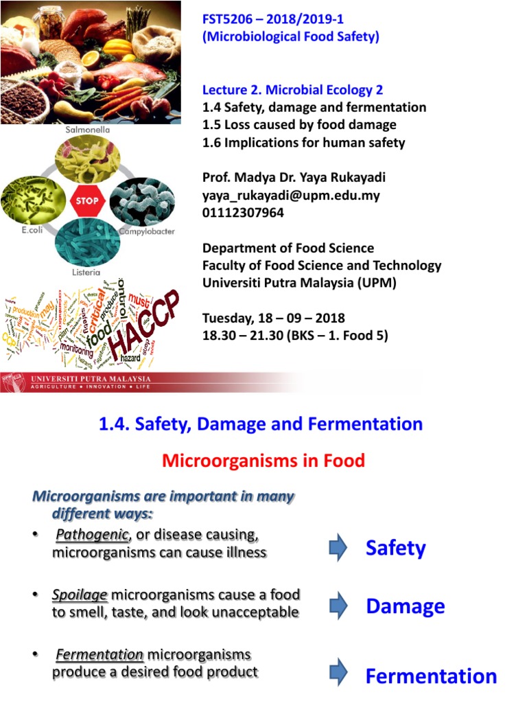 FST5206 - 2018/2019-1 (Microbiological Food Safety) | PDF | Mold ...