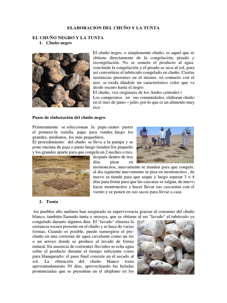 Elaboracion Del Chuño y La Tunta | Alimentos | Cocina, comidas y vino