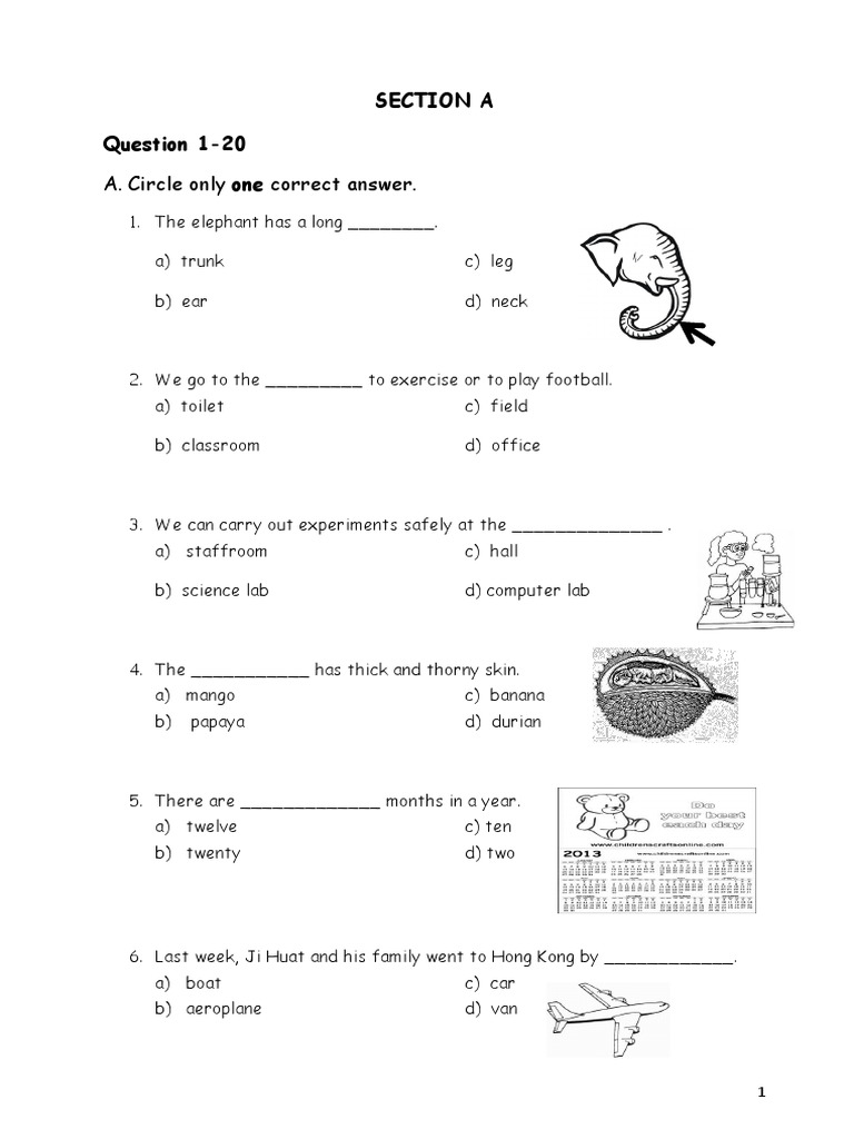 English Year 3 Paper 1 | PDF | Turtle | Tomato