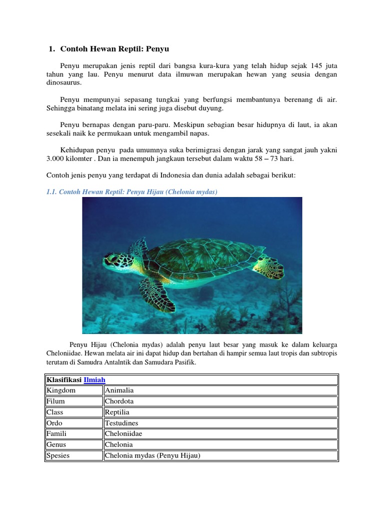 Contoh Hewan Reptil | PDF