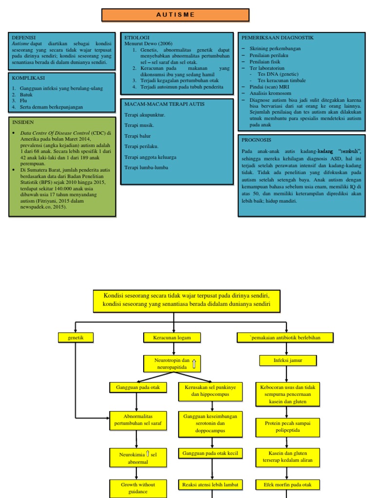 Woc Autisme Kelompok 7 | PDF