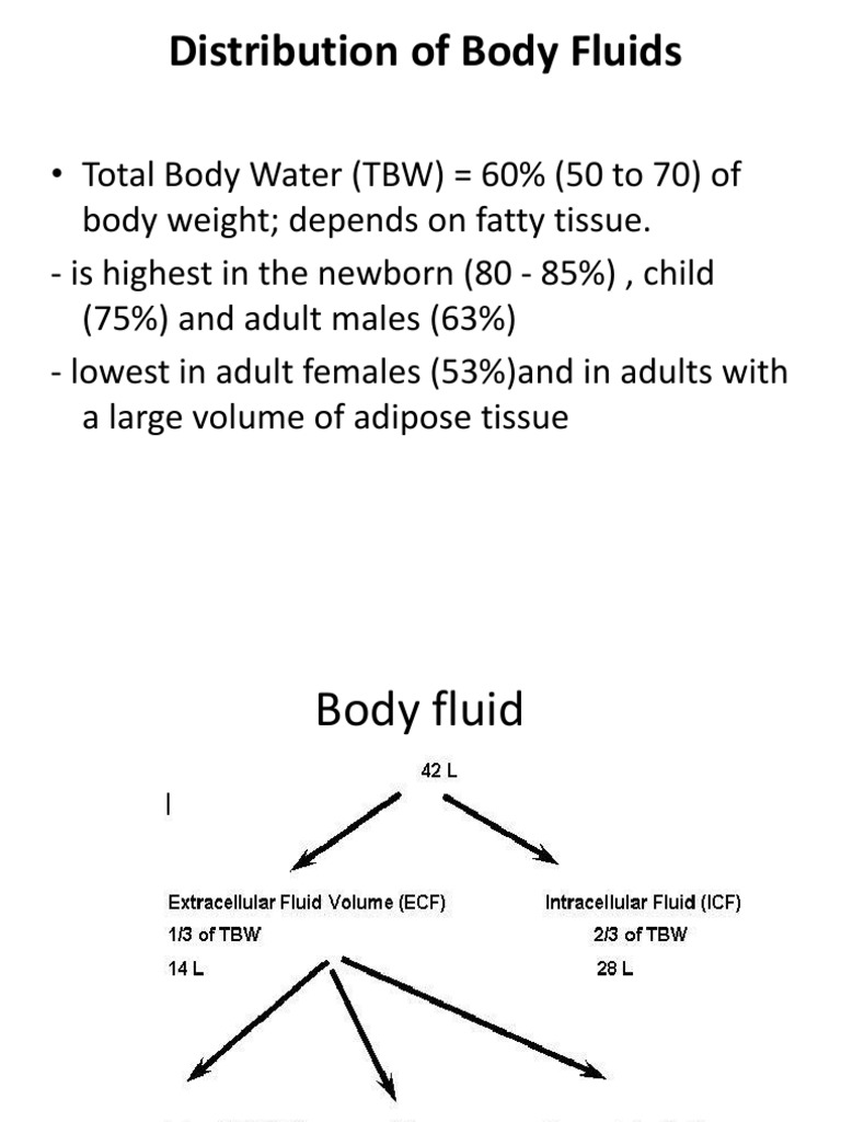 Distribution of Body Fluids | PDF