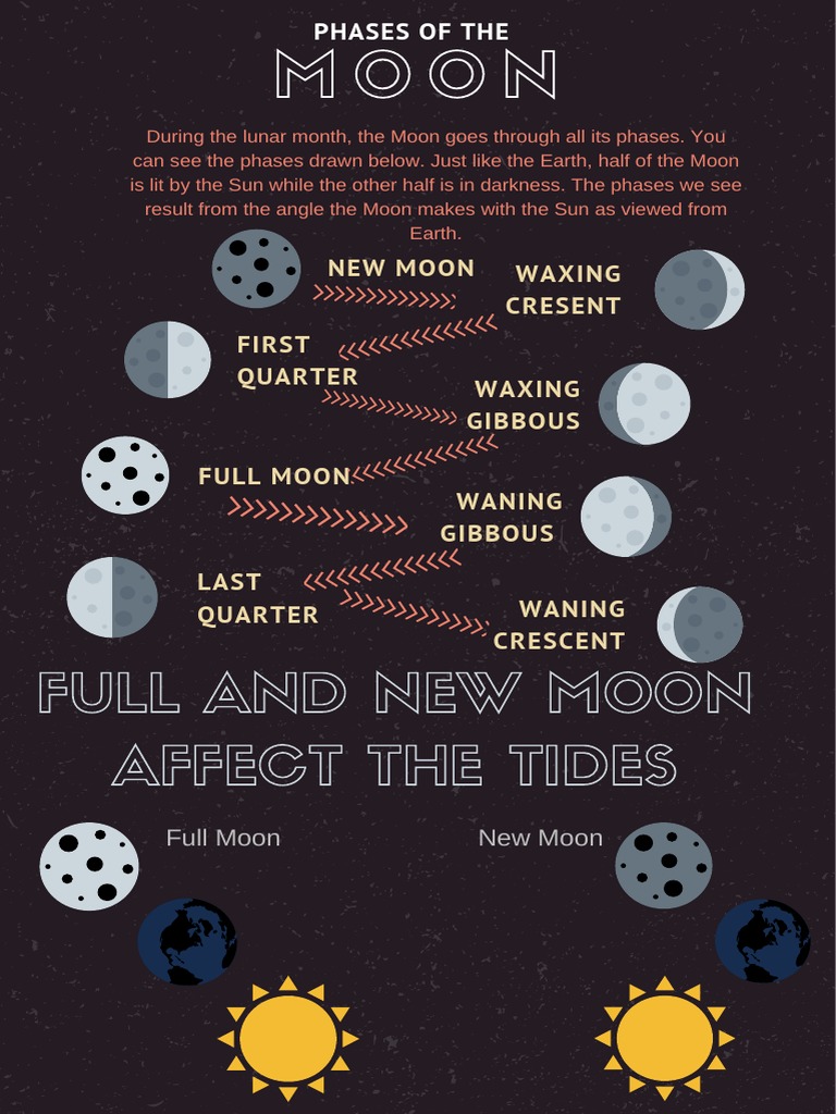 The Moon Infographic | PDF