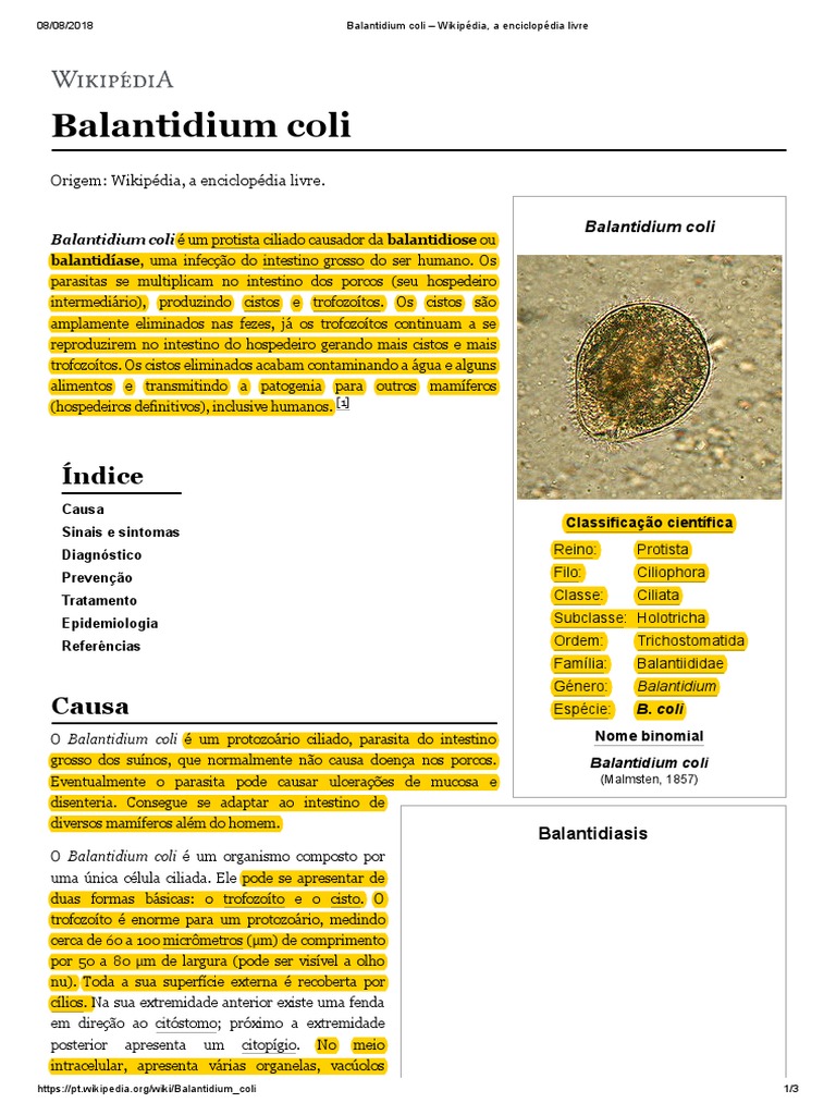 Balantidium Coli | PDF | Microbiologia | Doenças e distúrbios