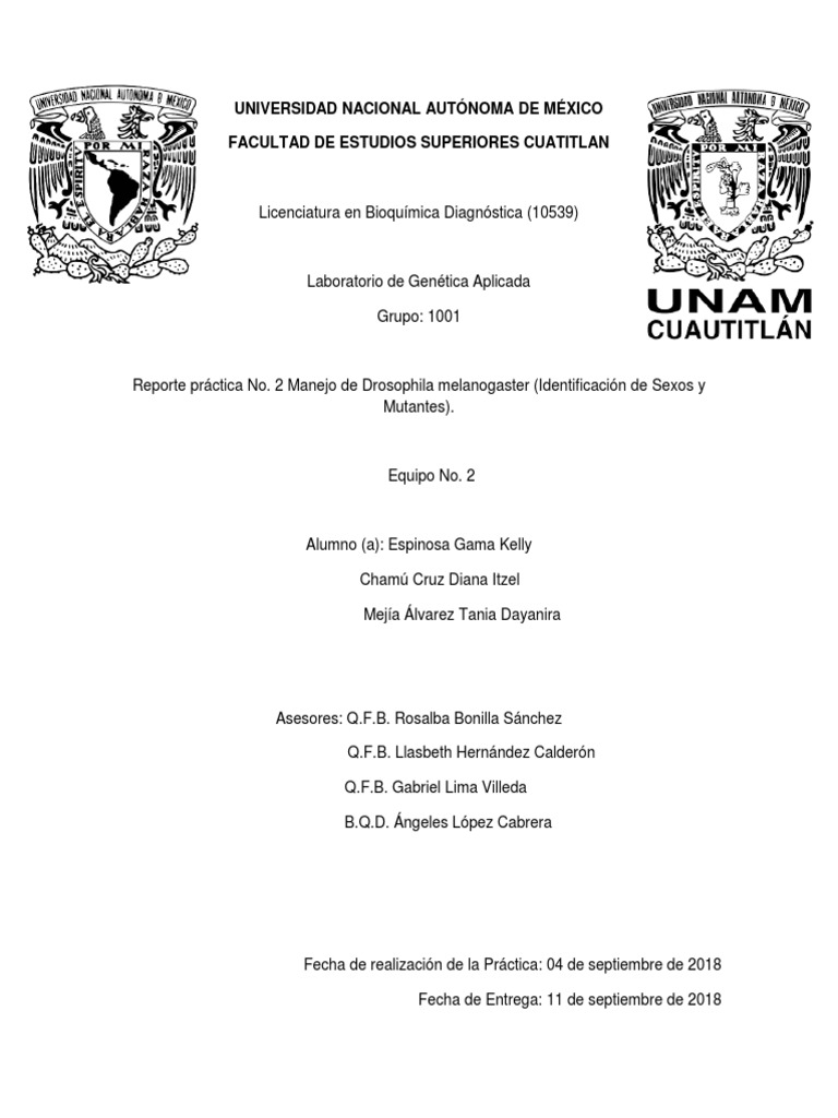 Reporte Práct. 2 Gen Aplic | PDF | Larva | Drosophila melanogaster