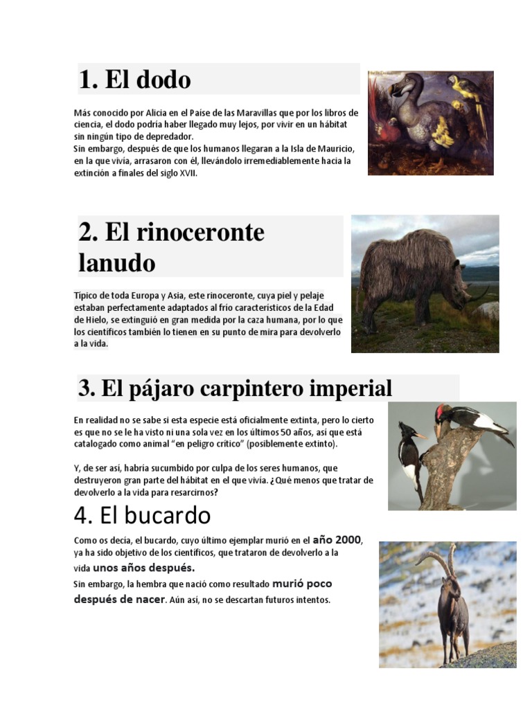 Animales Que Han Extinguido | PDF