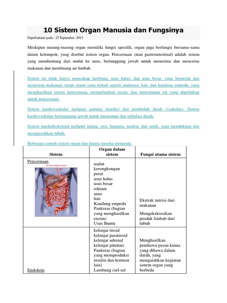 10 Sistem Organ Manusia Dan Fungsinya | PDF