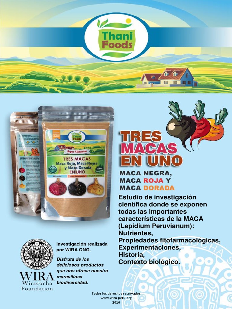 Maca Estudio PDF | PDF | Glándula suprarrenal | Antioxidante