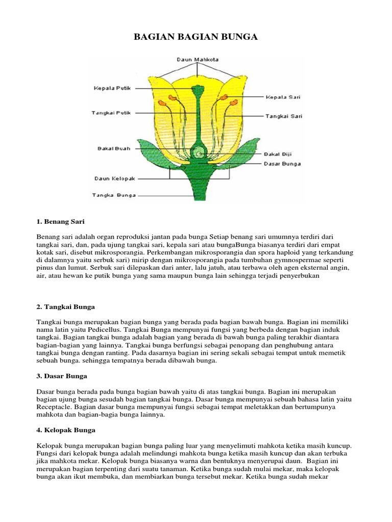 Bagian Bagian Bunga | PDF