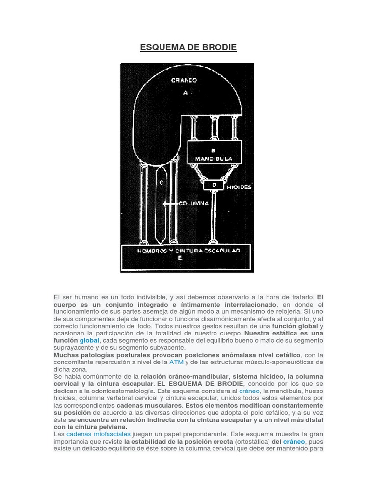 Esquema de Brodie | PDF