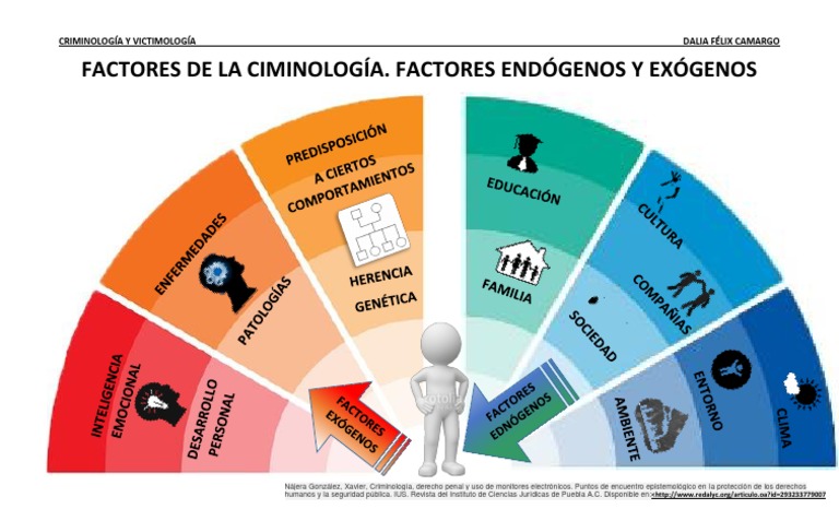 Factores Endógenos y Exógenos
