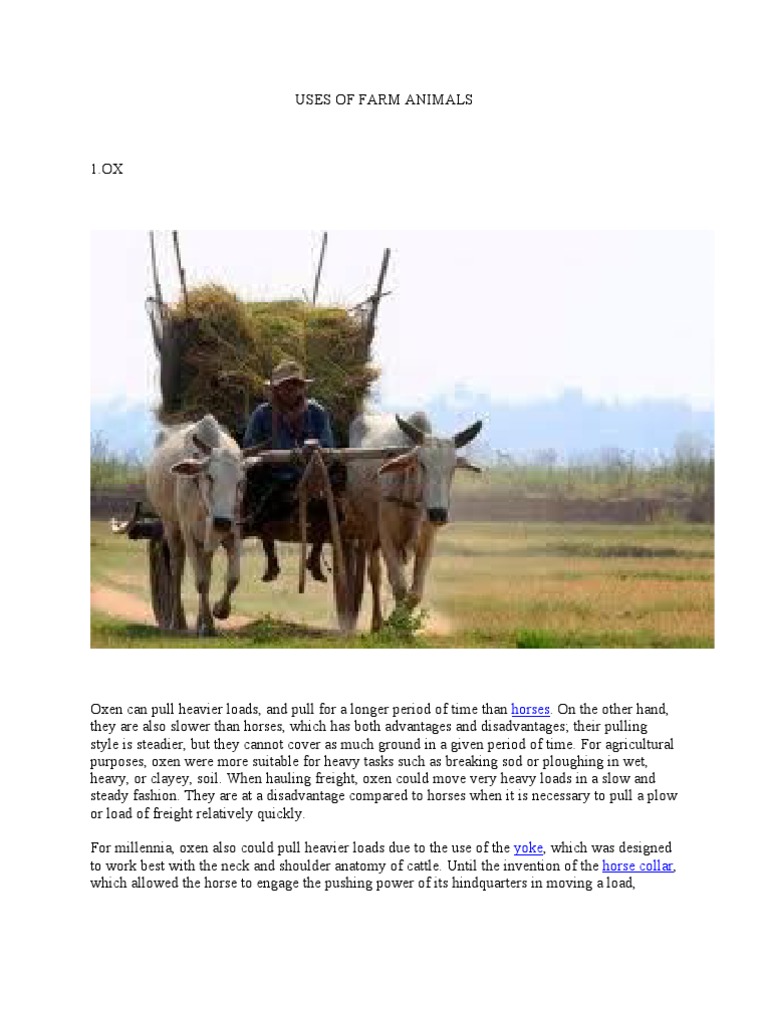Benefits and Uses of Farm Animals | PDF | Chicken | Horses
