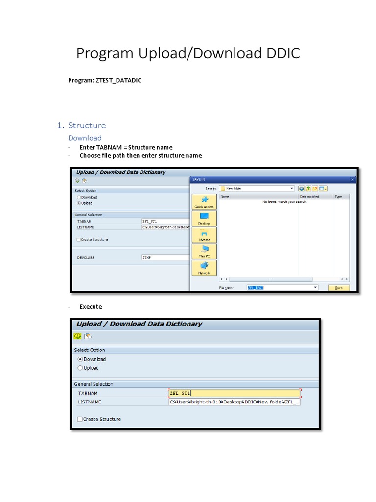 Program Upload/Download DDIC: 1. Structure | PDF | Computers