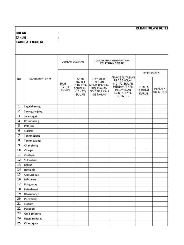 Format Laporan Sdidtk | PDF