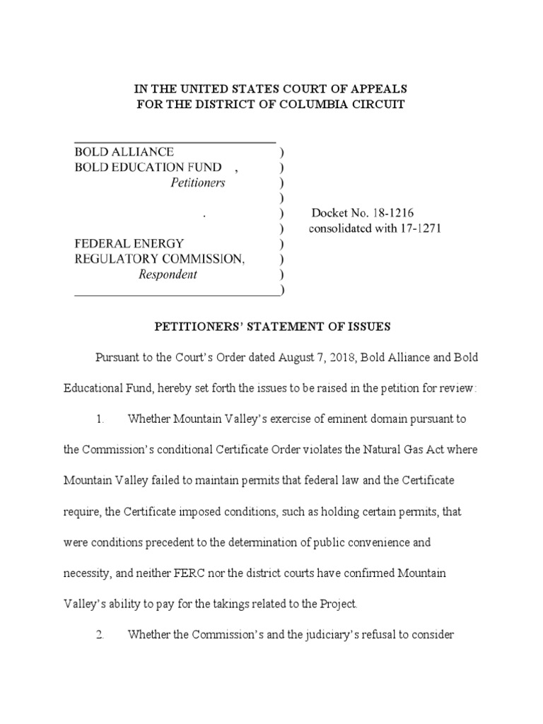 Bold Statement of Issues | PDF | United States Courts Of Appeals ...