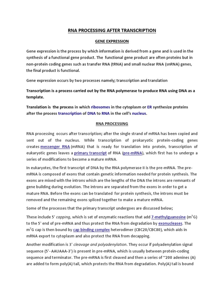 RNA Processing and Gene Expression Explained | PDF | Messenger Rna | Rna