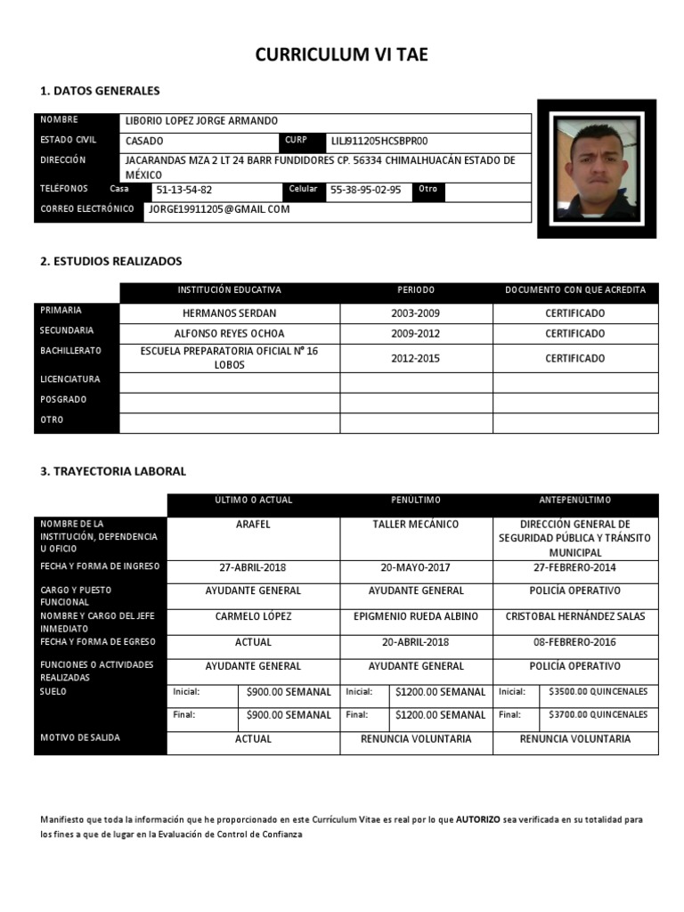 Formato Curriculum Vitae Policia Estatal | Policía | Enseñando y ...